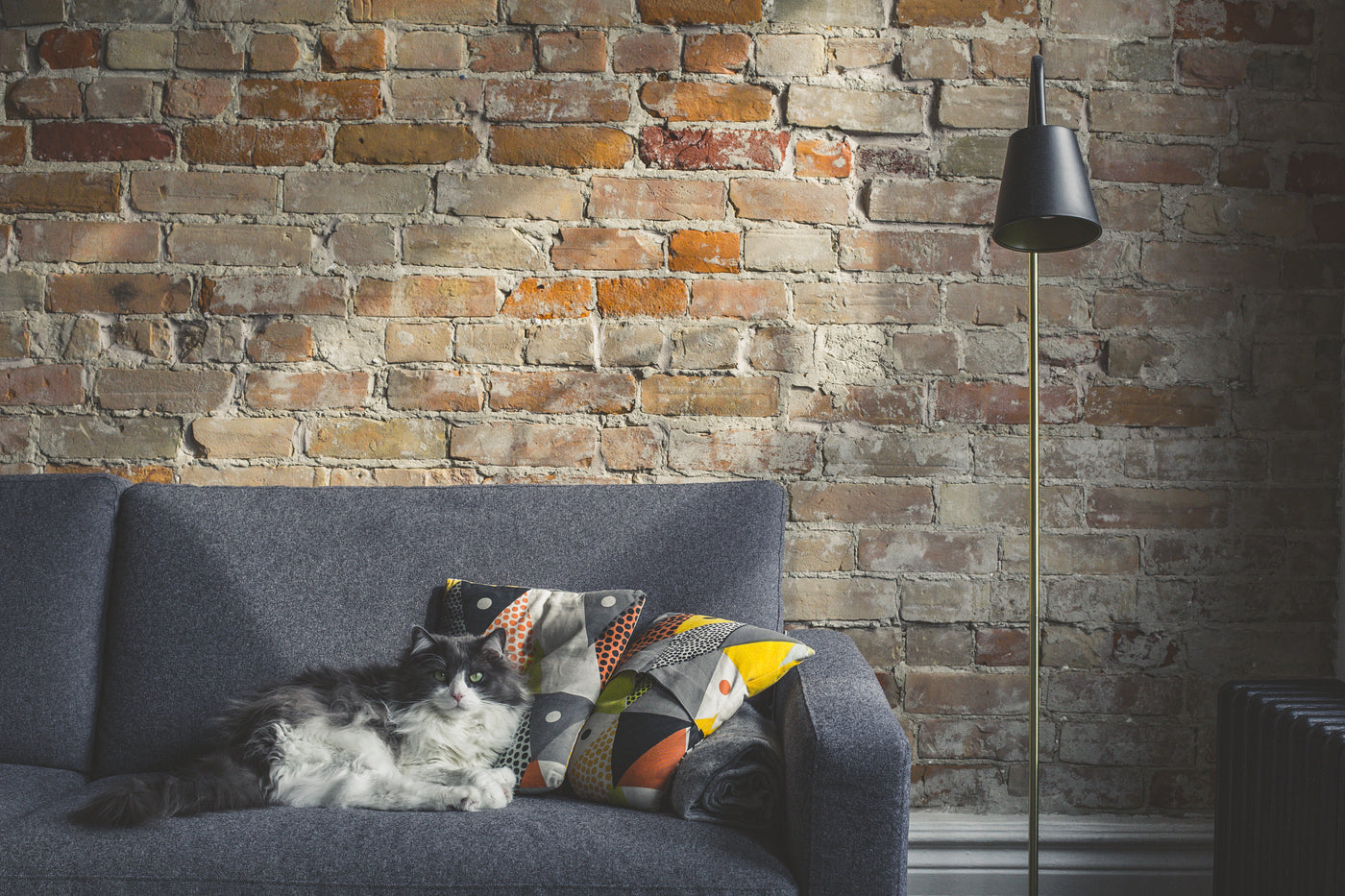 Black Barn Upholstery Supplies